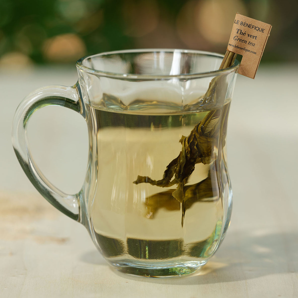 Organic Green tea in stem – Camellia Sinensis – JINI MINI